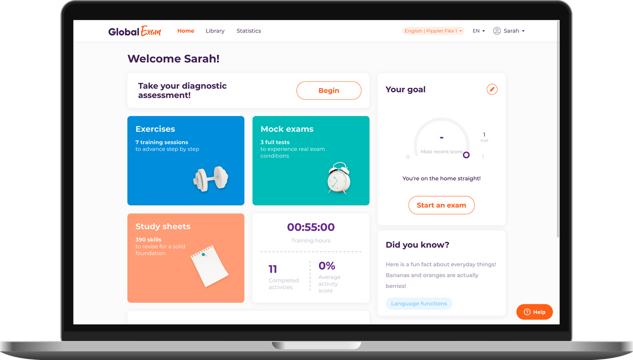 Pipplet FLEX preparation: online practice for the exam