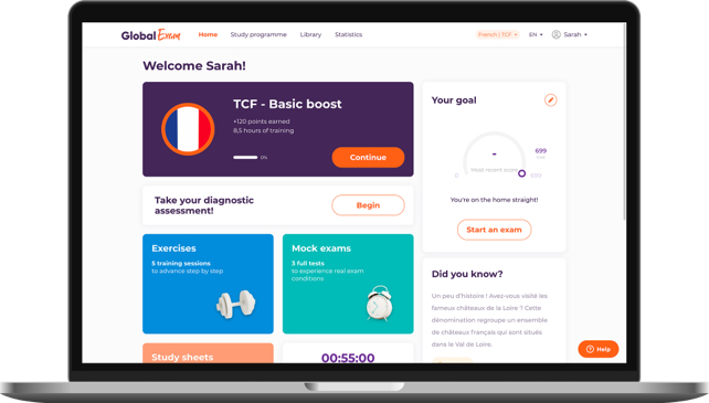 TCF exam preparation: online practice to boost your score